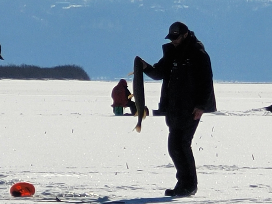 20230225 100006 — Postimages