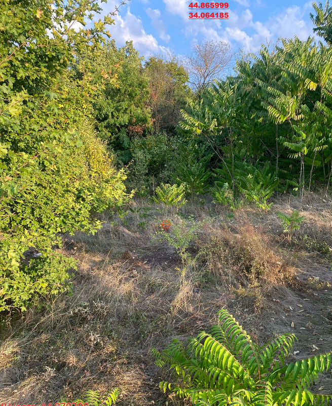 IMG 3722 — Postimages