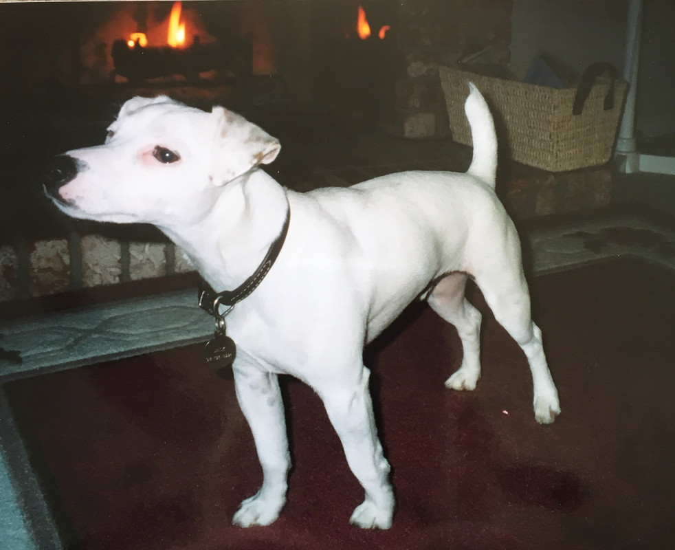 Full Size Render 5 — Postimages