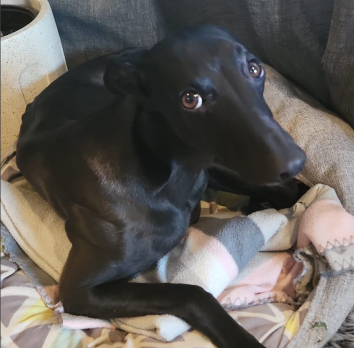 Our Oil Predicament Explained: Heavy Oil and Diesel Fuel Are KeyOur ...