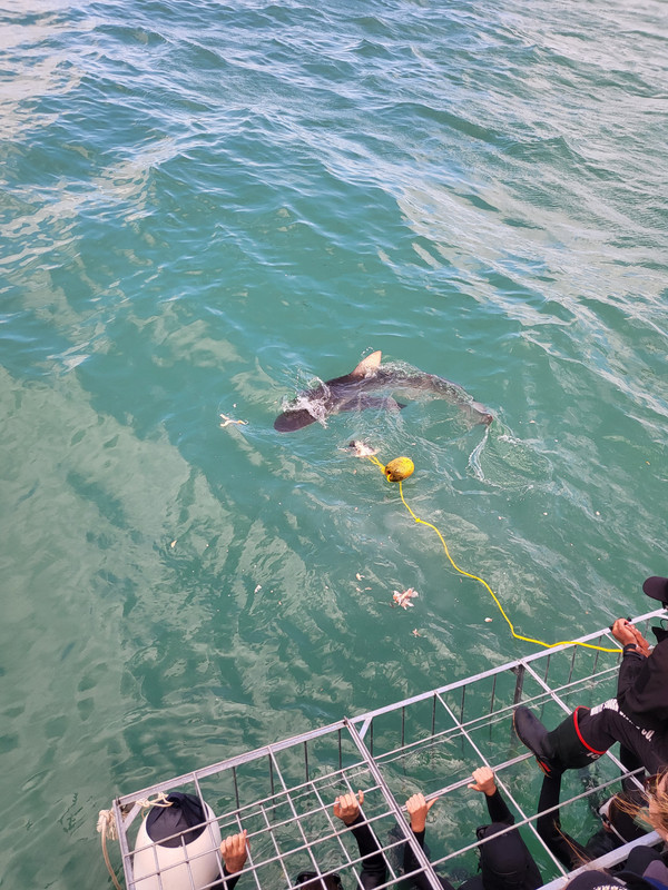 20230102 092147 — Postimages