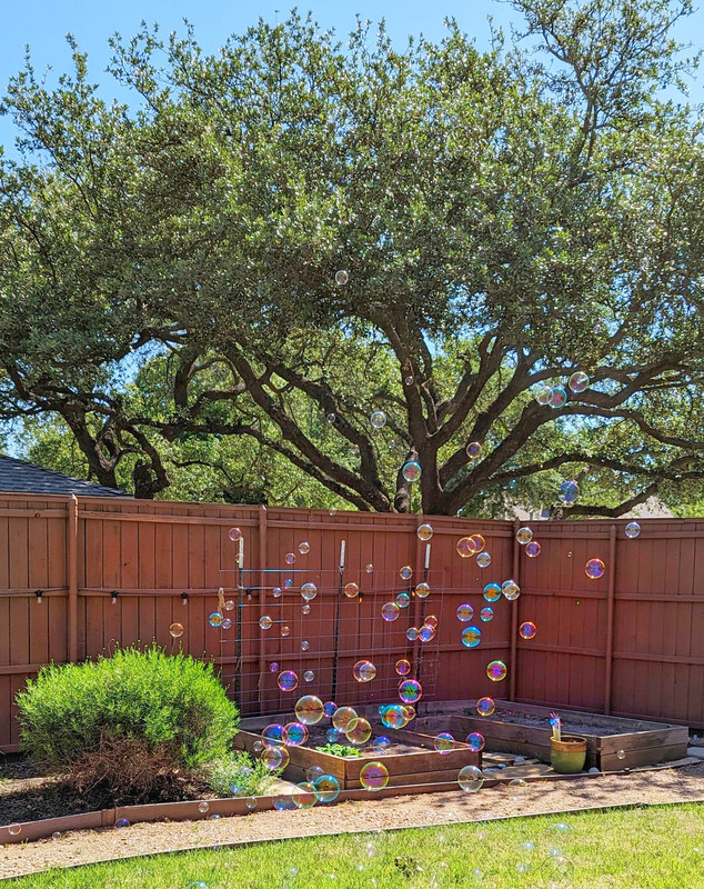 Daily Random Photos - ONE PICTURE PER DAY - 2017 (Leica, images, JPG ...