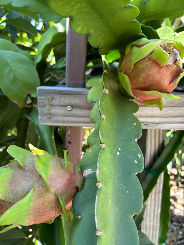 IMG 3622 — Postimages