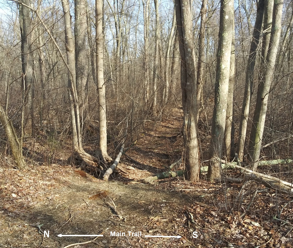 Hall St Side Trail4 C — Postimages