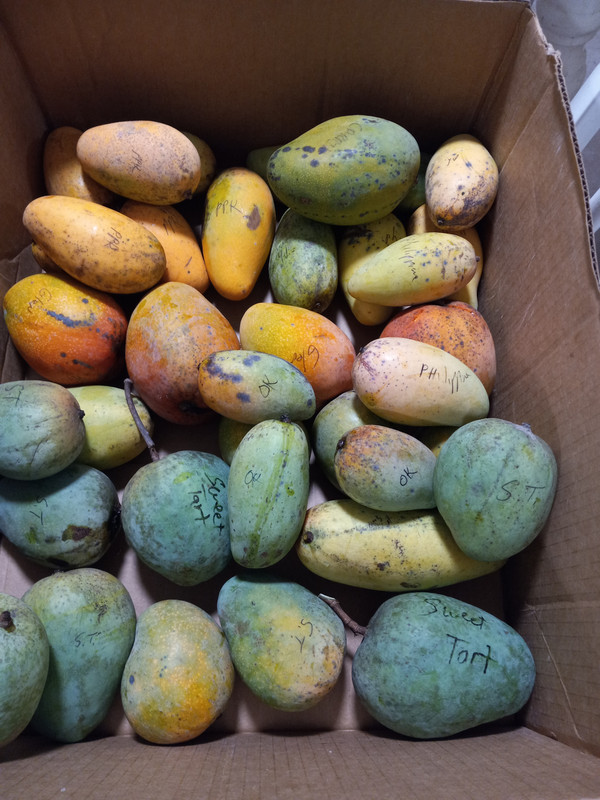 20240615 151512 — Postimages