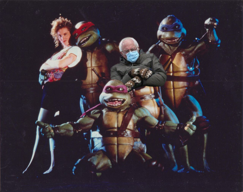 B-E-R-N-I-E Power : r/TMNT