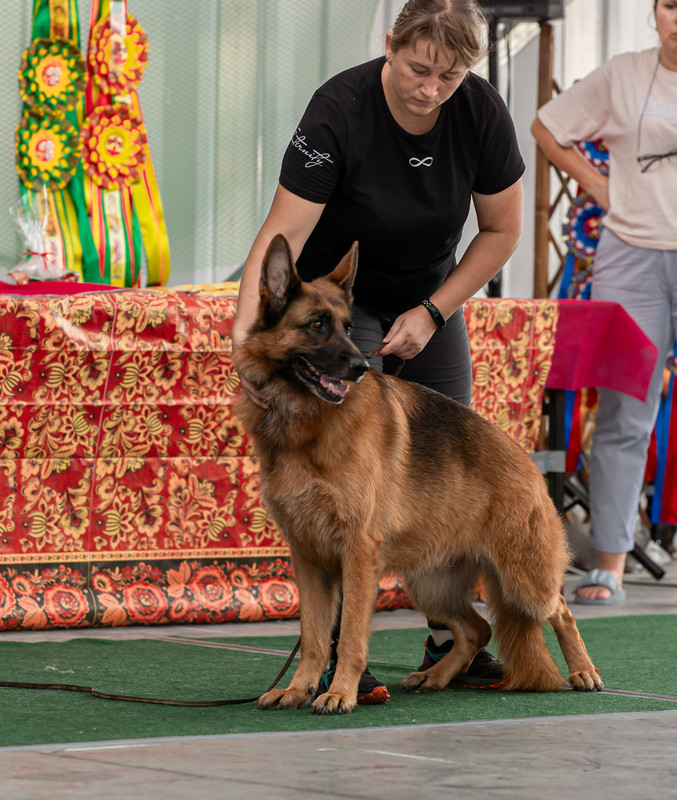 344 CR2 — Postimages