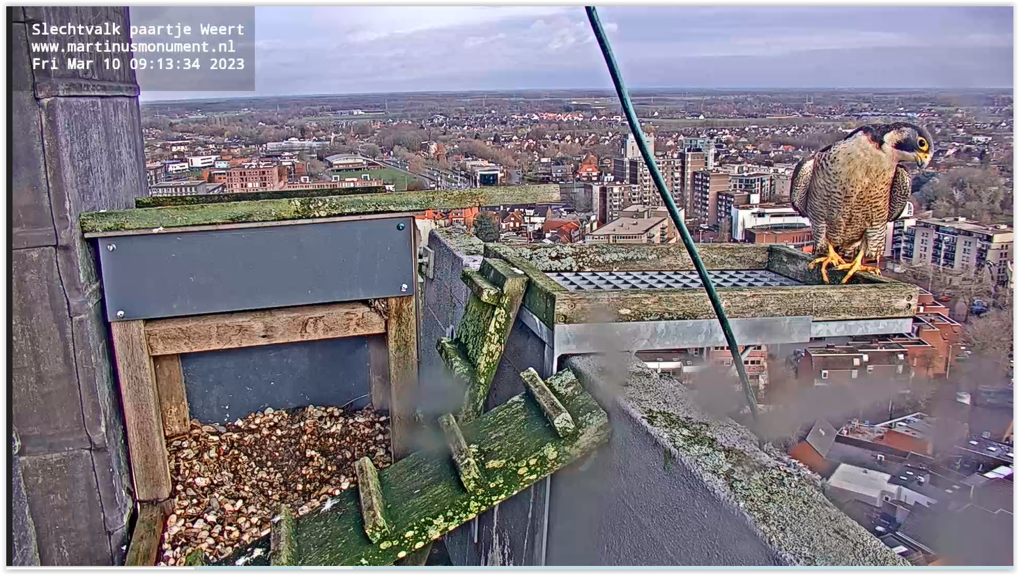 Screen Shot 03 10 23 at 09 14 AM — Postimages