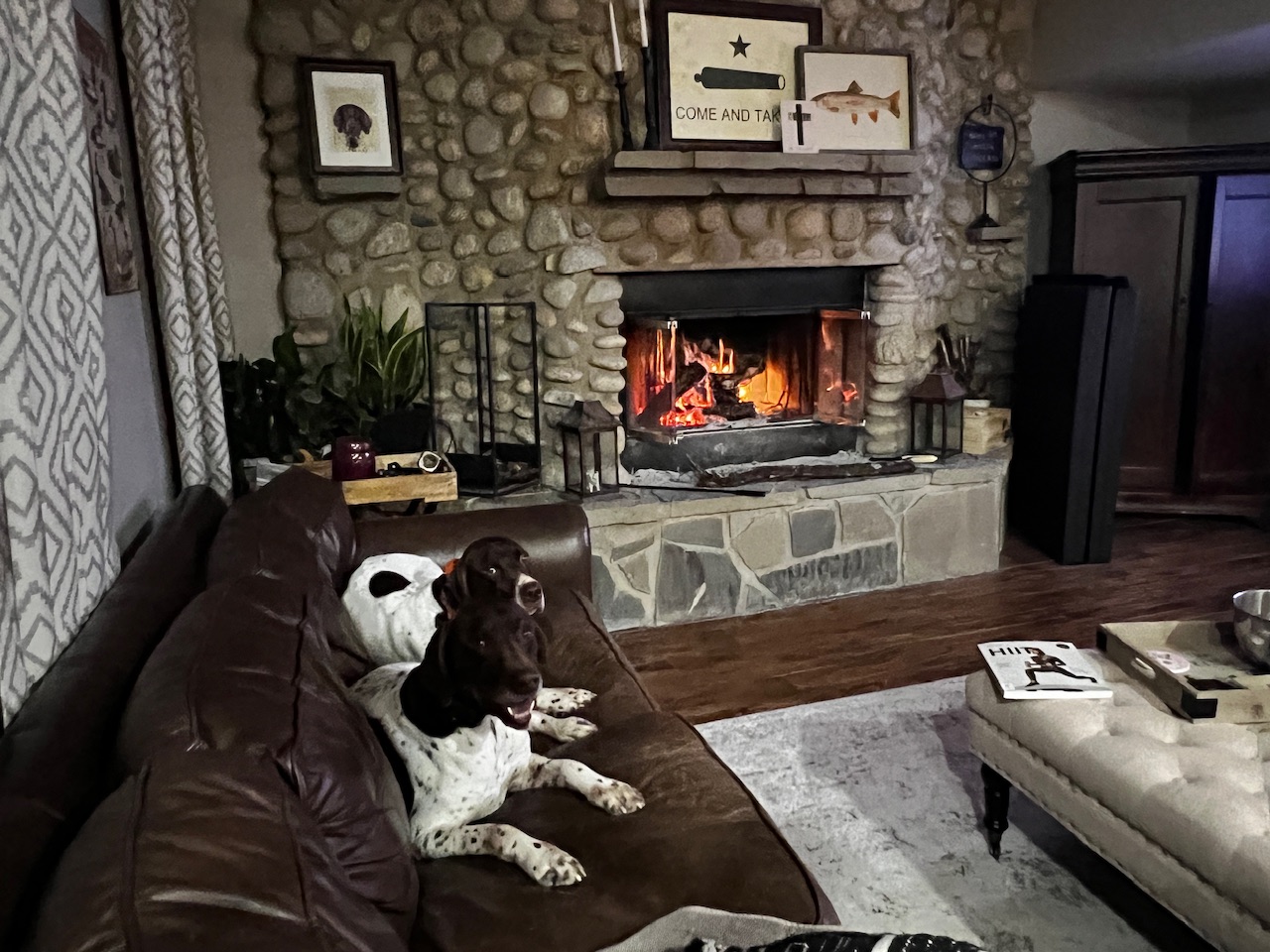 IMG 2253 — Postimages