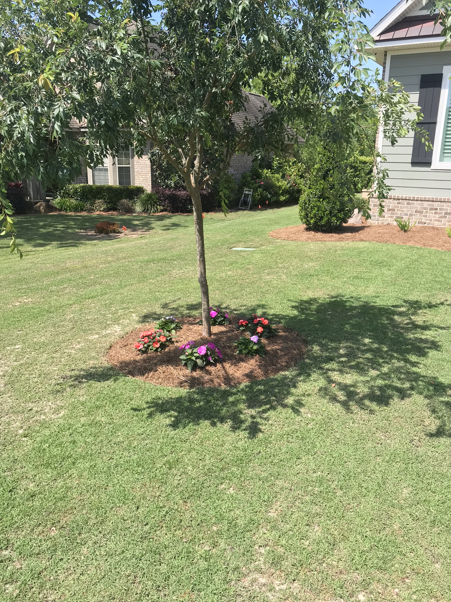 4 30 2019 — Postimages