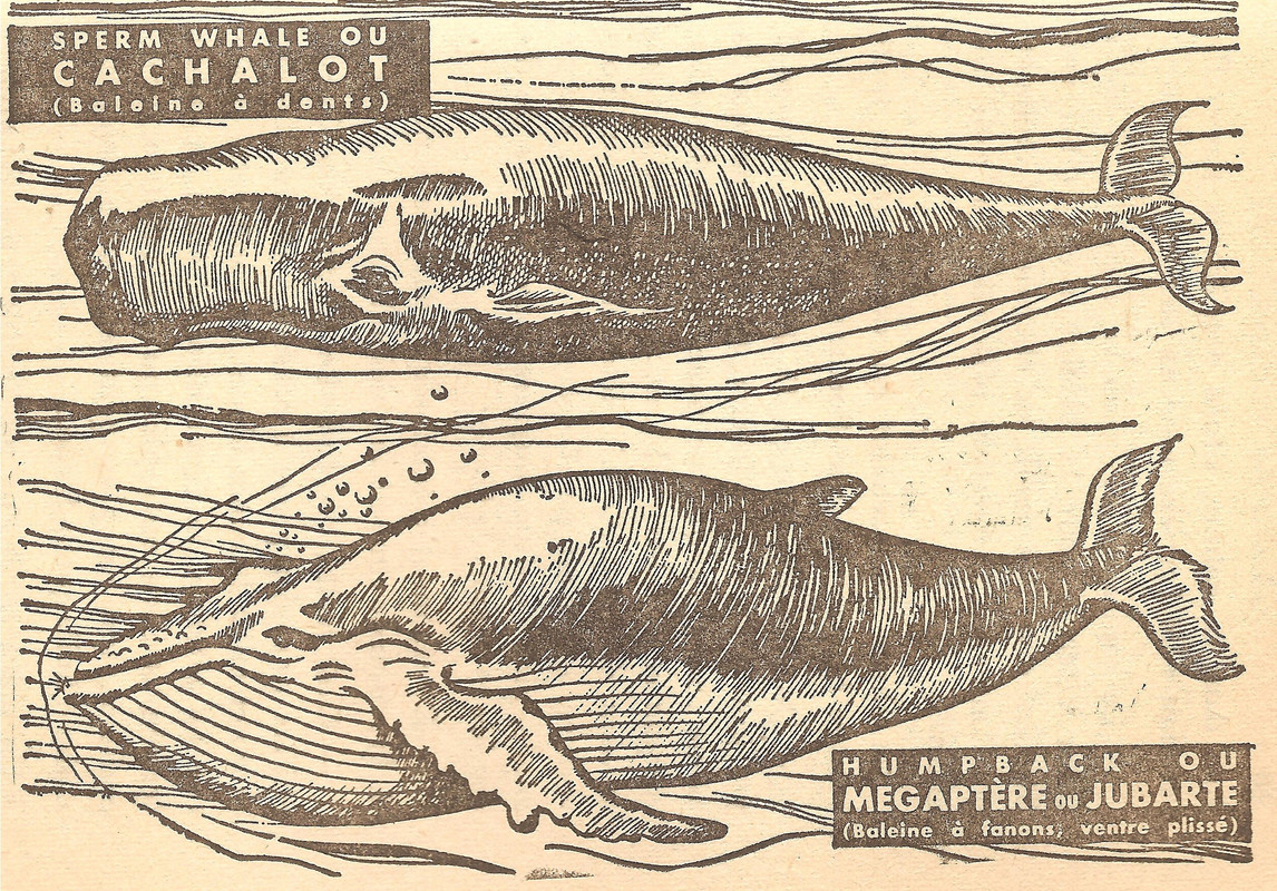 forum 004 — Postimages