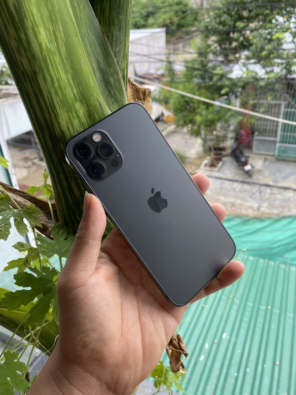 IMG 1696 — Postimages