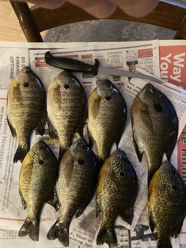 AE13 BCE3 4976 45 E9 A9 A7 A85621 D8 B047 — Postimages