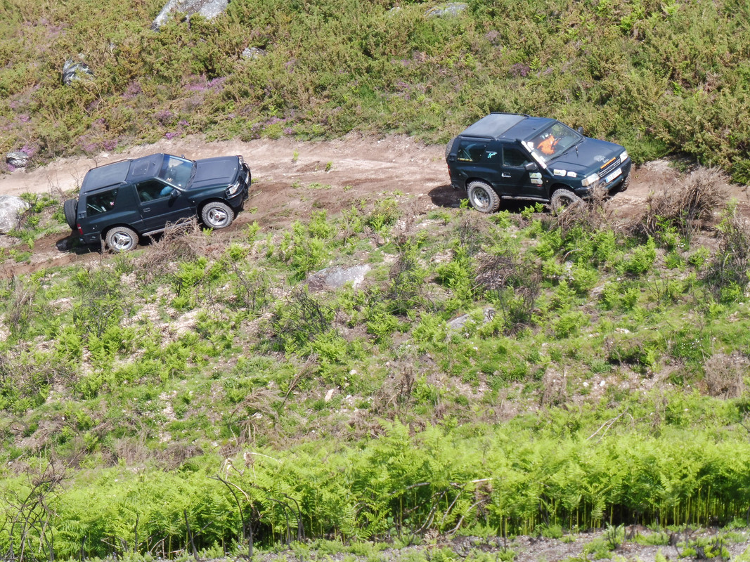 2018 05 12 Fd S FF (158) JPG — Postimages