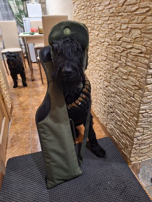 20231208 215039 — Postimages