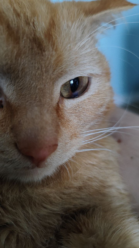 Fa932728 Bc9 B 4 D72 8613 Bce7 C15 Edb16 Postimages