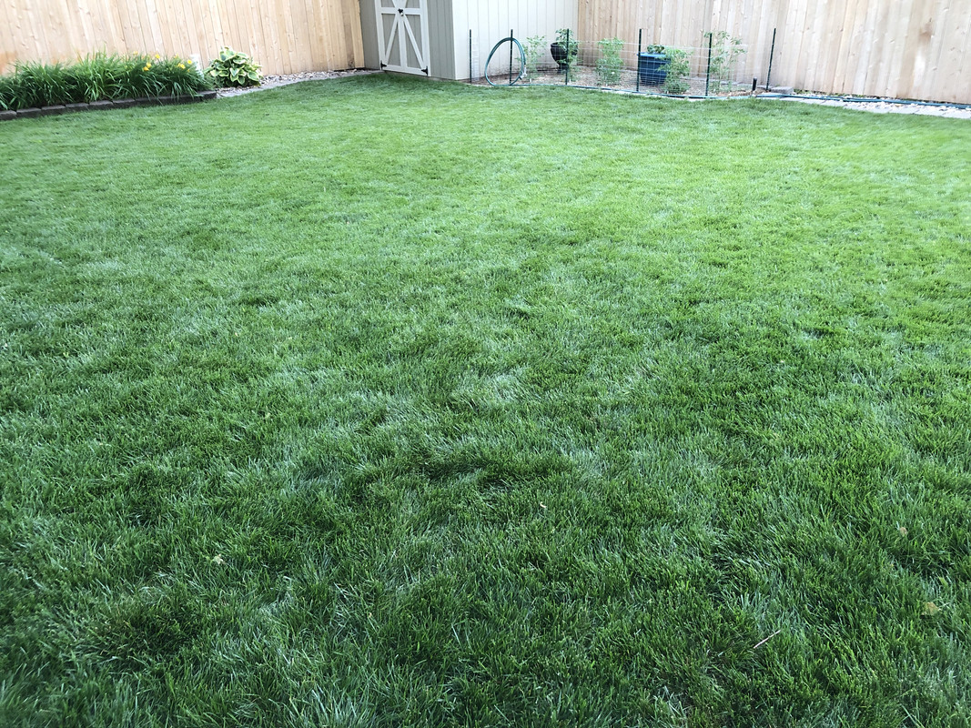 IMG 9179 — Postimages