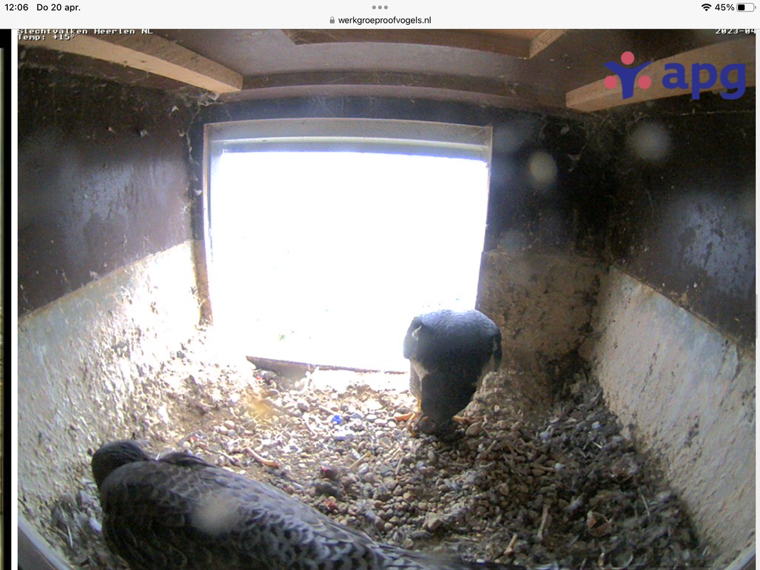 IMG 8590 — Postimages