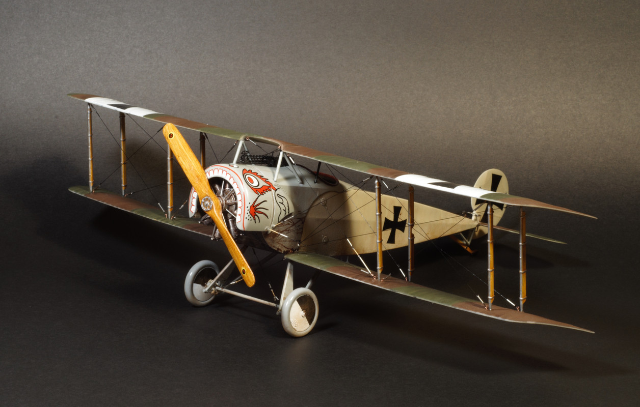 1/32 Special Hobby Fokker D.II - Ready for Inspection - Large Scale Planes