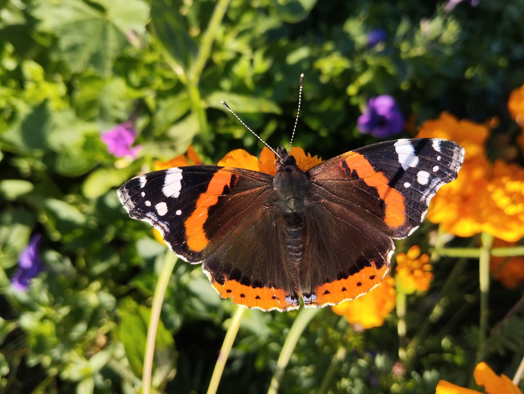 IMG 20231001 162625 — Postimages