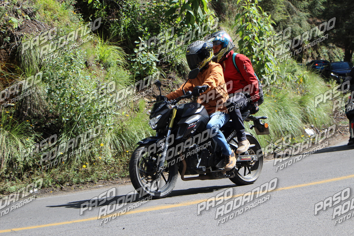 IMG 4016 wm 11599 100000000093 watermarked — Postimages