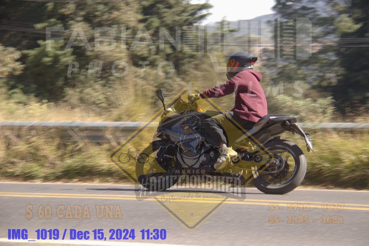 IMG 1019 — Postimages