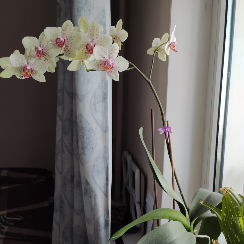 IMG 20220329 102503 — Postimages