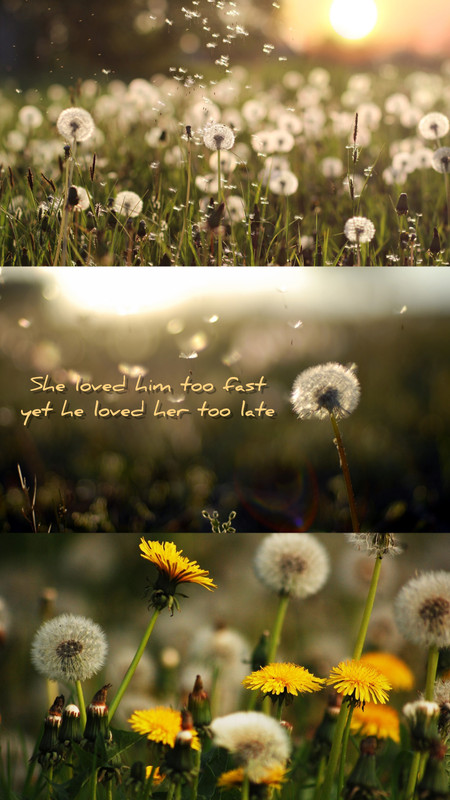 She loved him too fast yet he loved her too late - Chapter 1 - Rayne ...