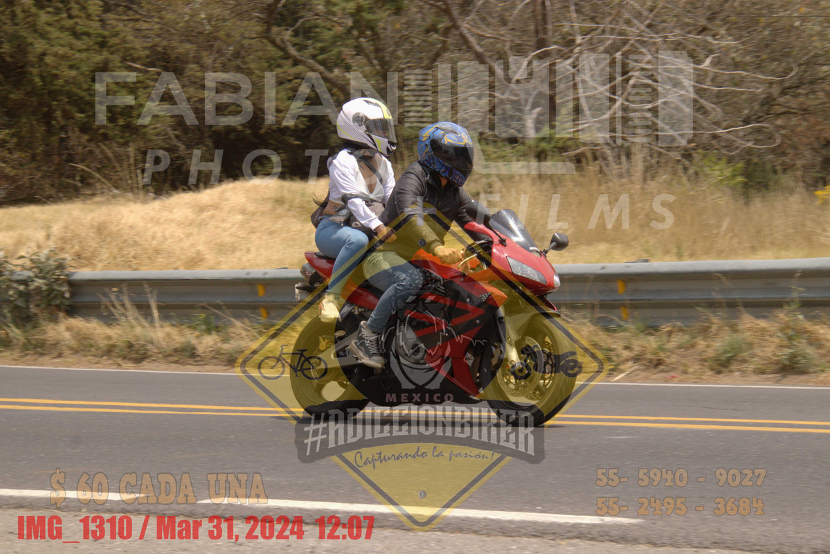 IMG 1310 — Postimages