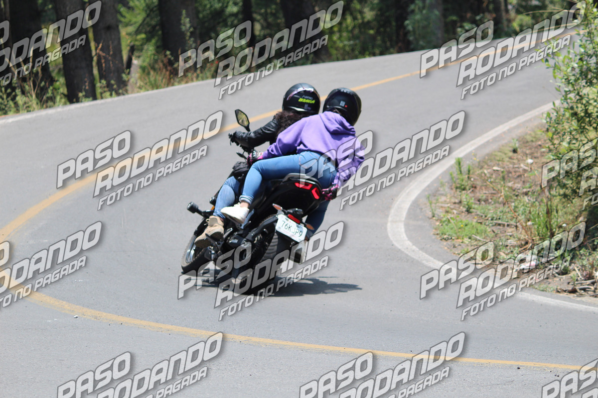 IMG 0557 wm 58796 700000000186 watermarked — Postimages