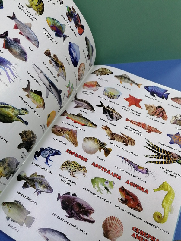 LBs Tar2 Ak0 — Postimages