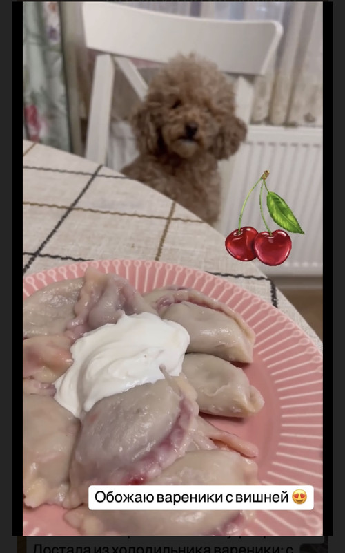 IMG 3398 — Postimages