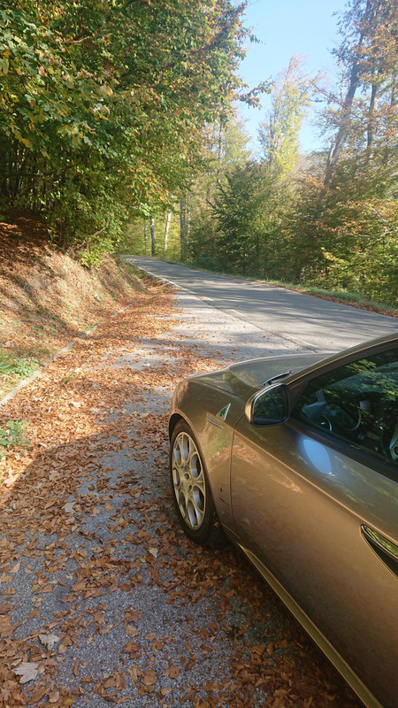 DSC 0378 — Postimages