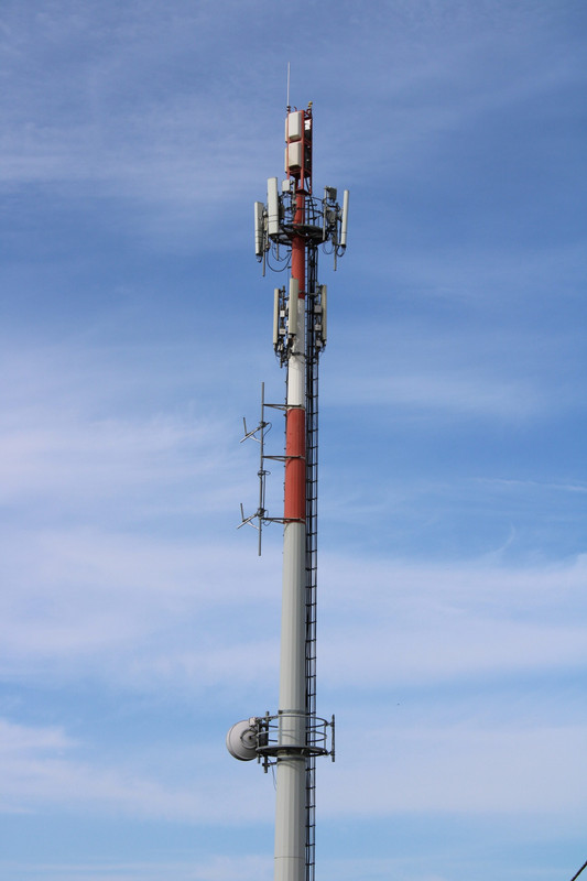 20210406155807 IMG 0246 — Postimages