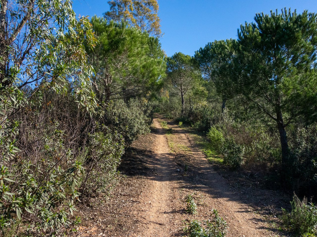 sin título 07400 — Postimages