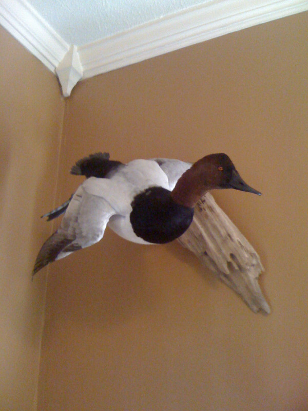 Img 0421 — Postimages