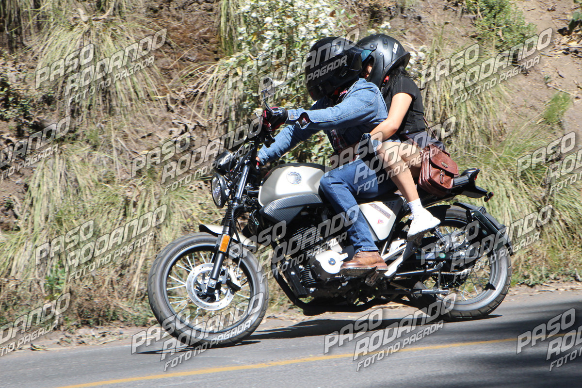 IMG 1818 wm 2307949 watermarked — Postimages