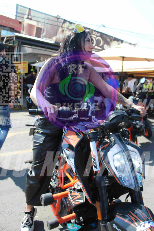 batch IMG 1991 — Postimages