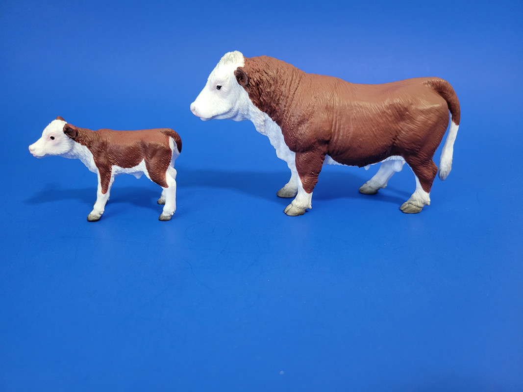 New 2024 Mojo Fun Hereford bull and calf