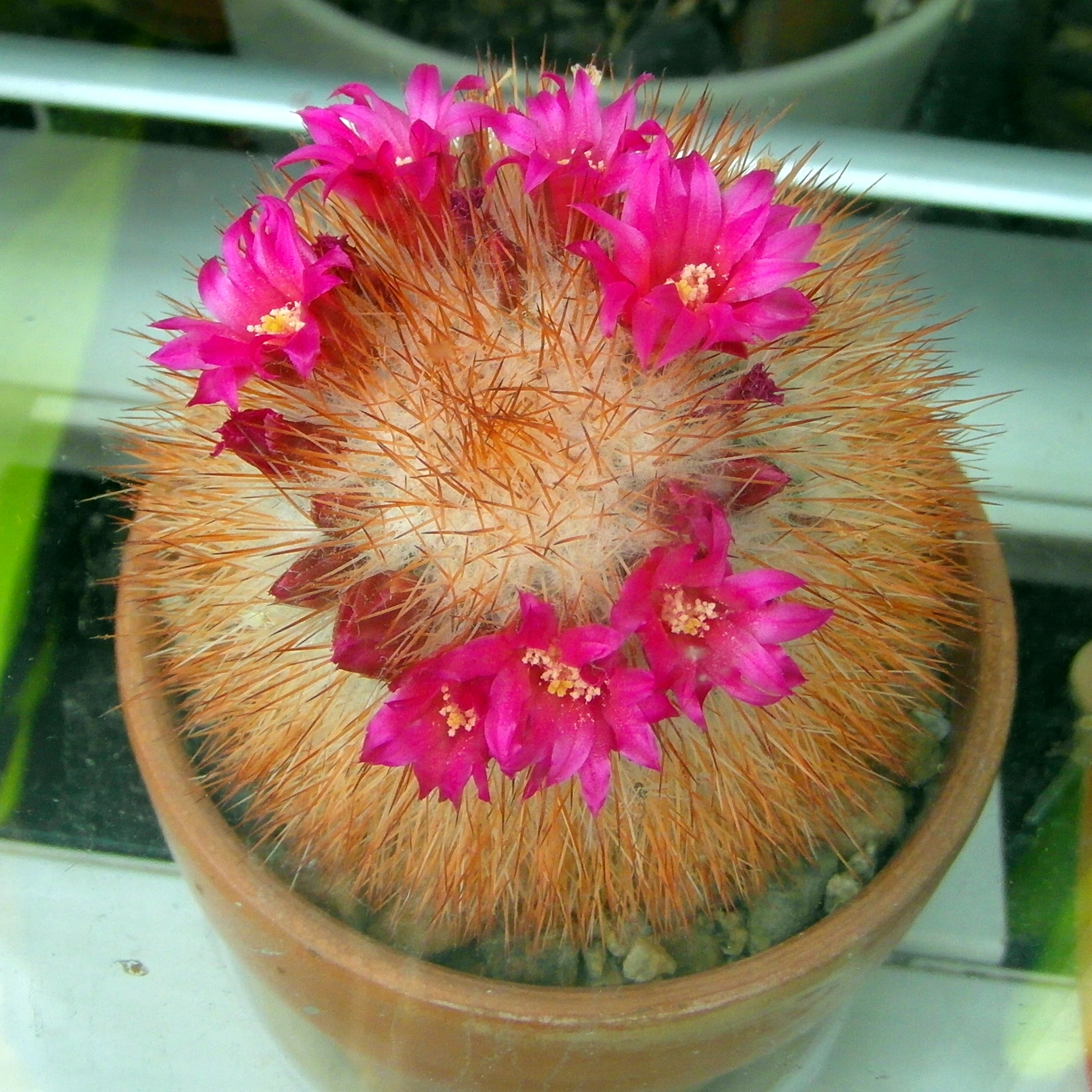 SAM 5670е — Postimages