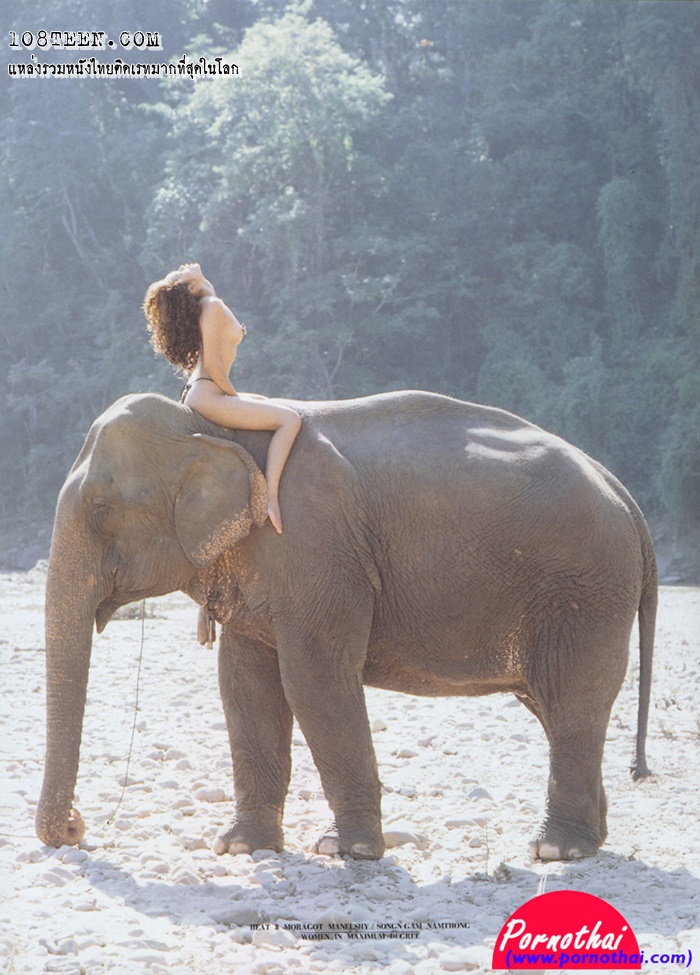 Moragot Songngam039 — Postimages