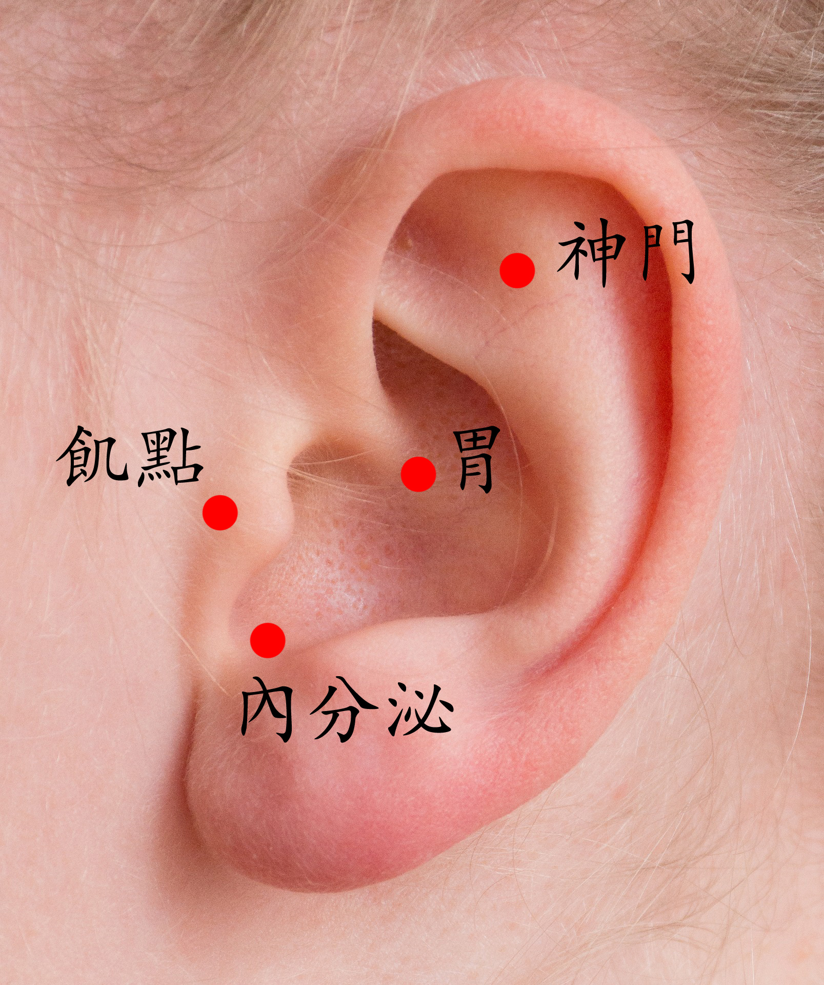 ear 2372090 1920 26950307328 o — Postimages