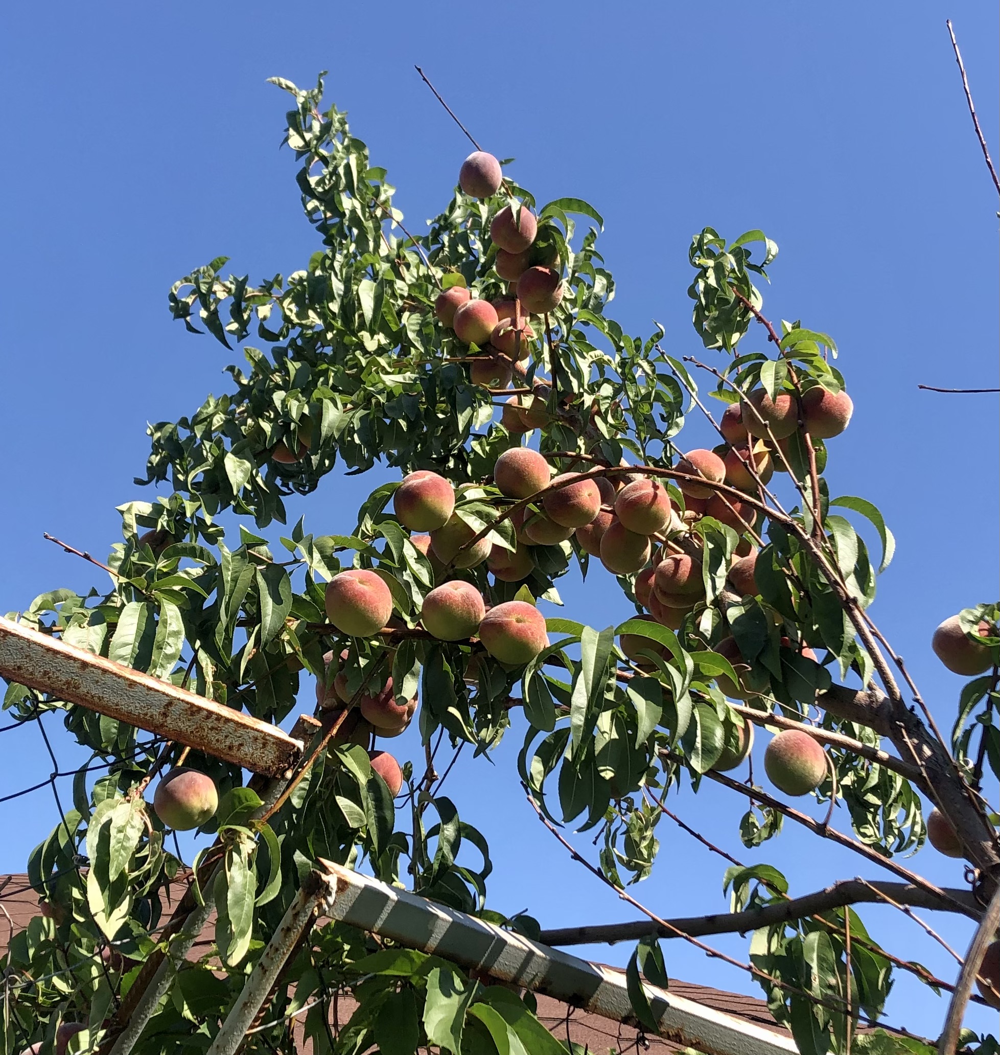 IMG 4584 — Postimages