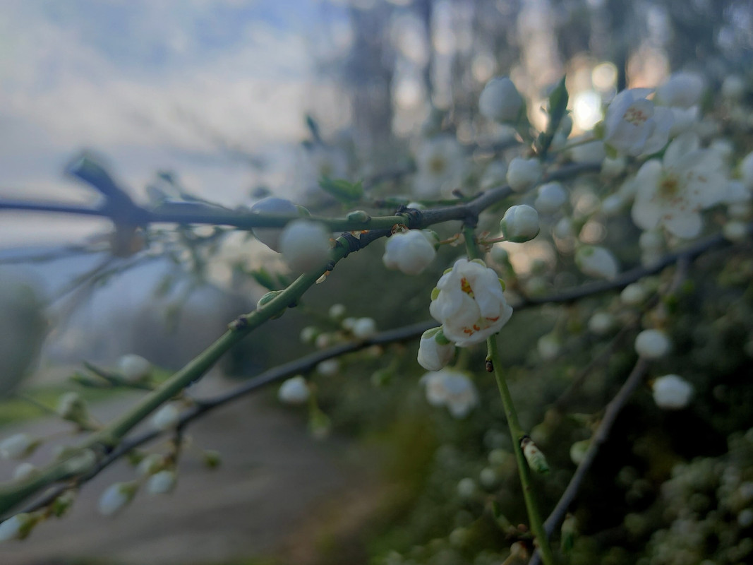 8 Zcvn T82 I0 Y — Postimages