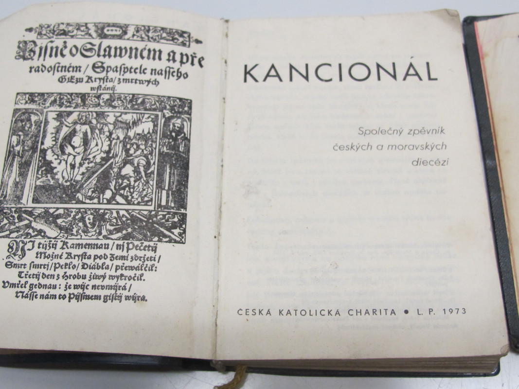 IMG 3592 — Postimages