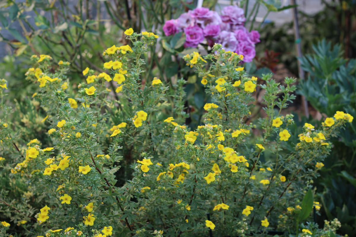 IMG 5055 — Postimages