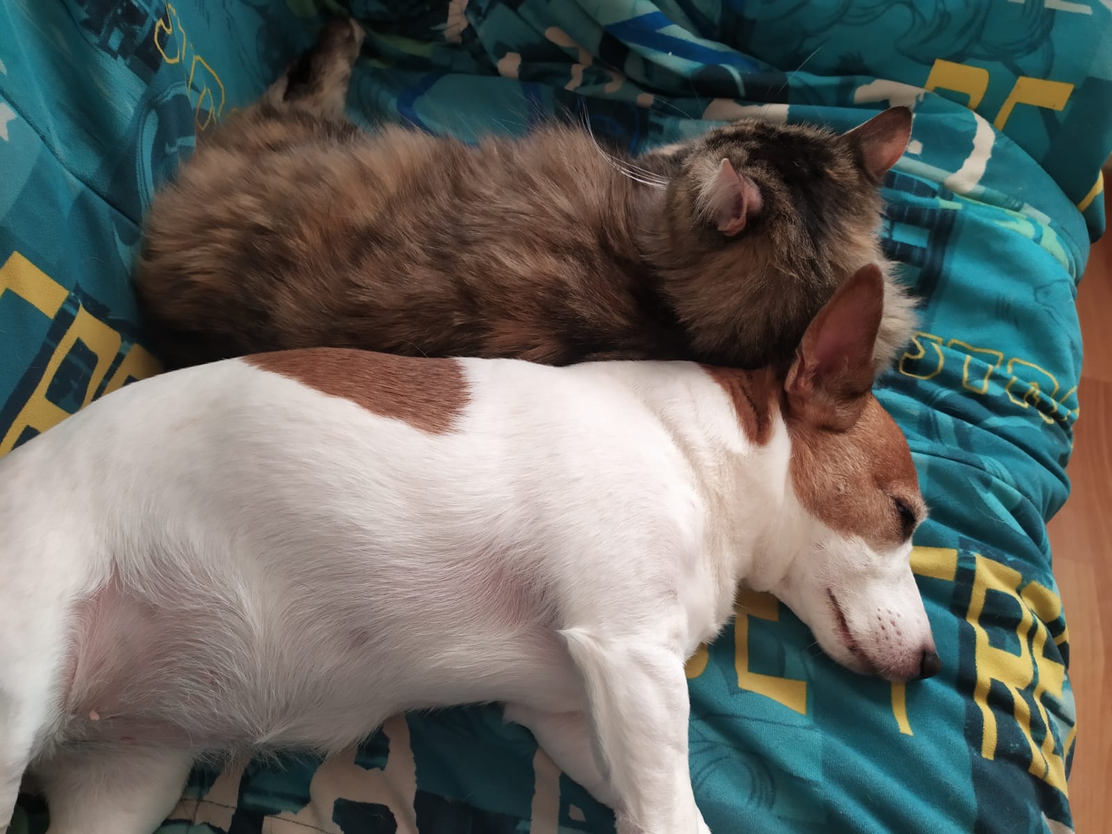 IMG 20230202 WA0001 — Postimages