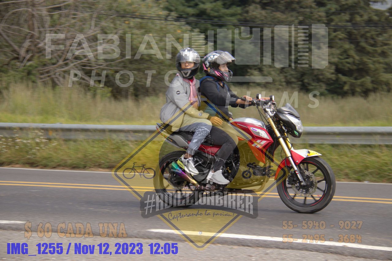 IMG 1255 — Postimages