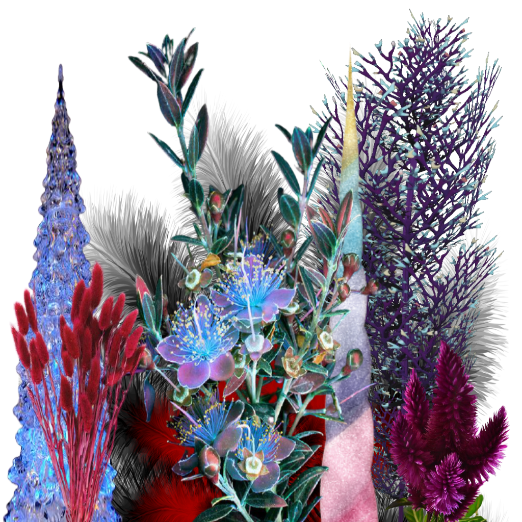 bl 'ank1 — Postimages