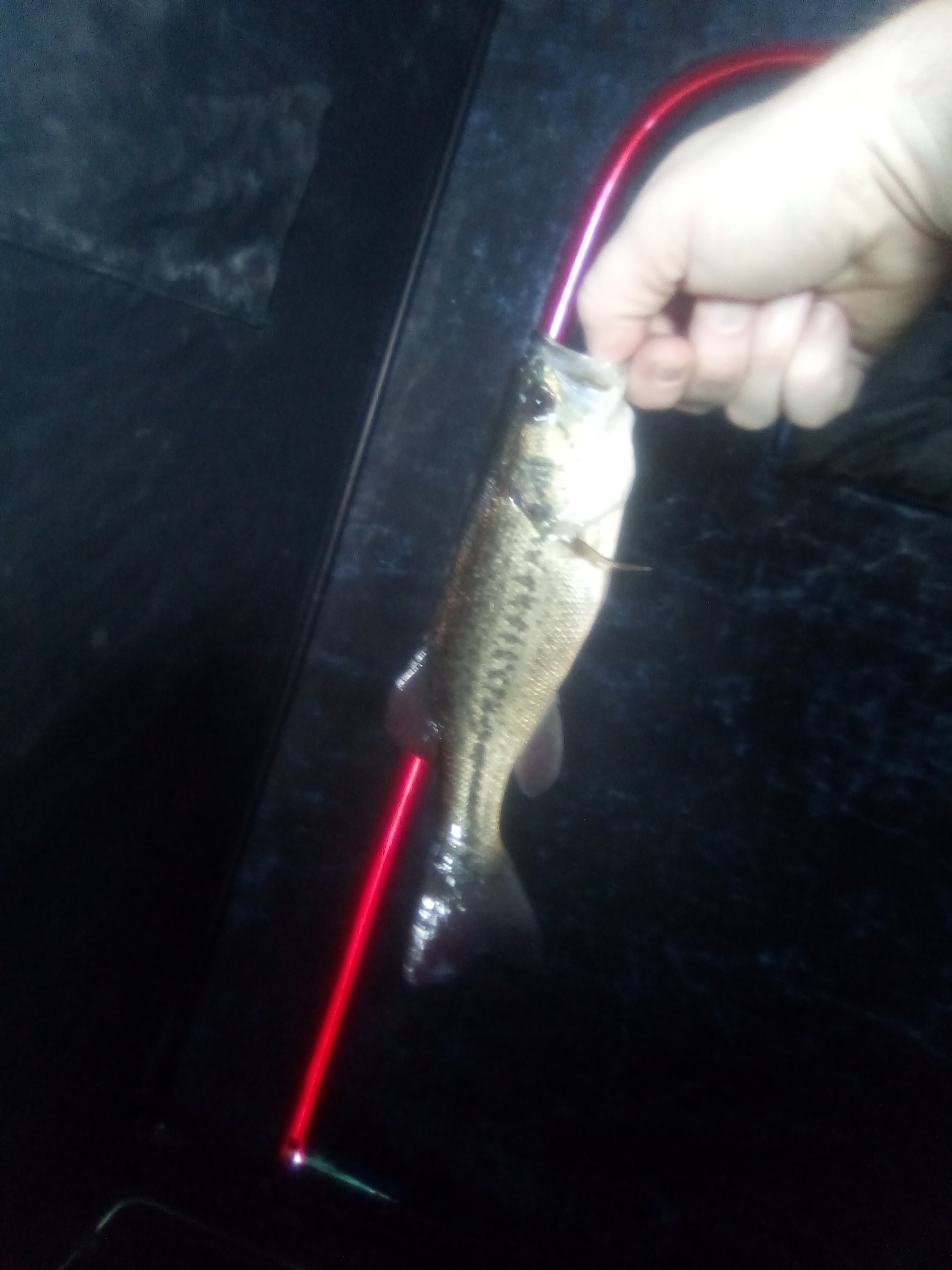 IMG 20230202 144204 — Postimages